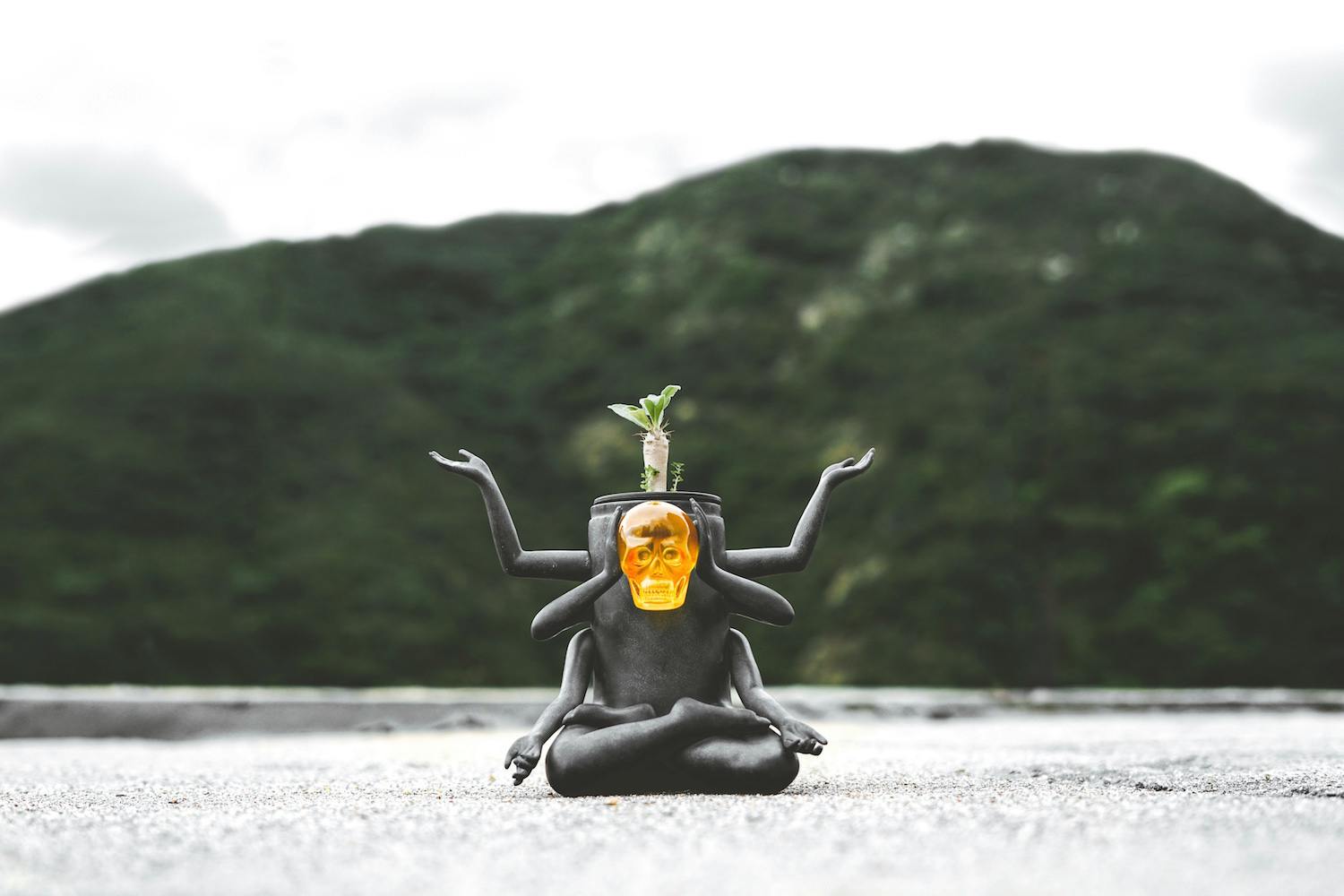 Prodip Leung Drops Supernatural Plants of Gods Terrarium