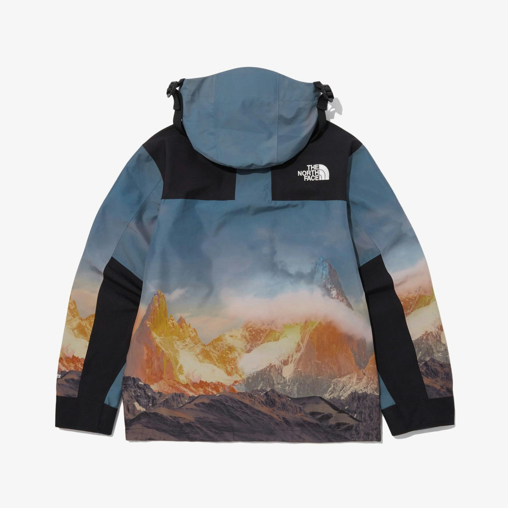 The North Face's Mountain Vista GORE-TEX Jackets Are Gorgeous