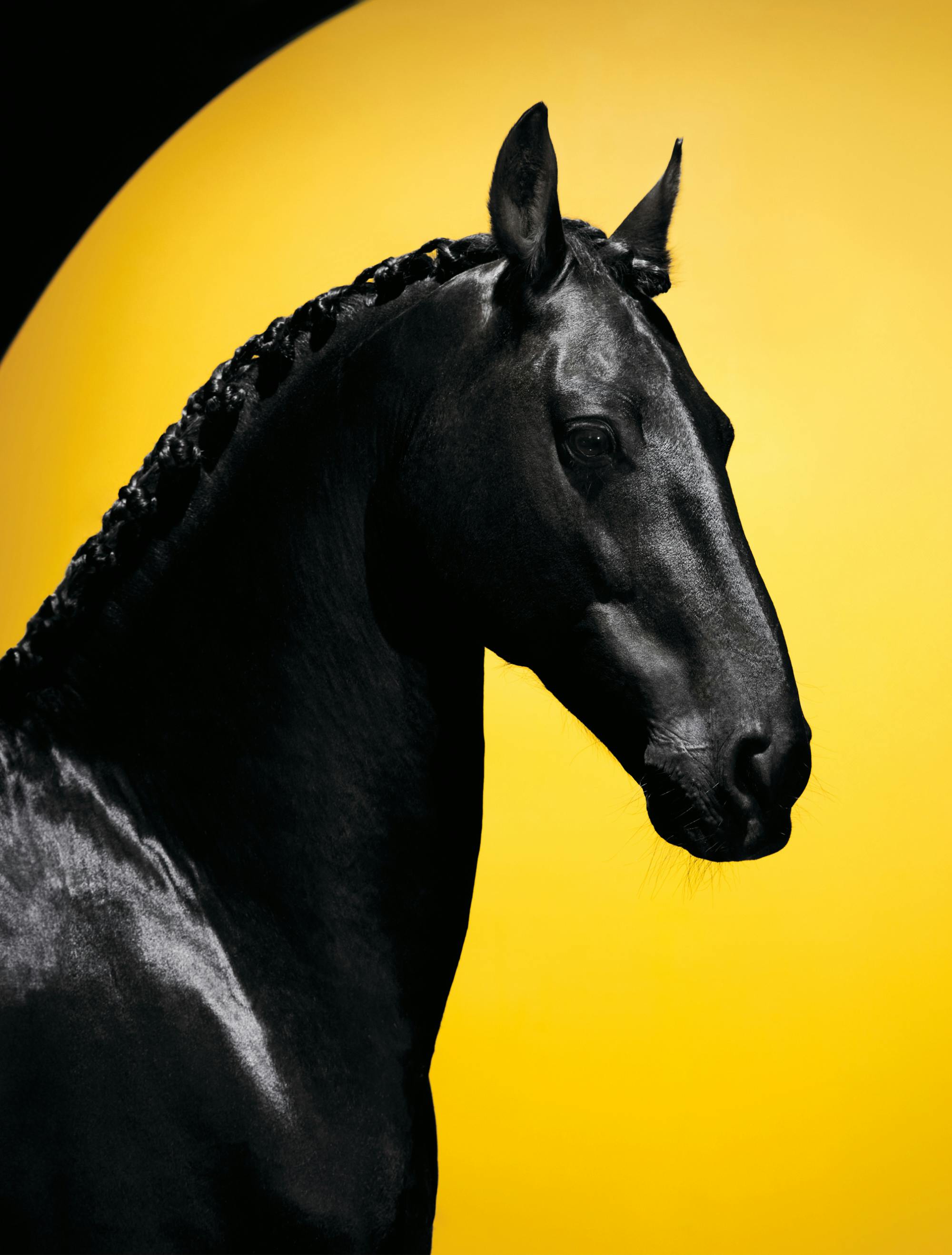 EXCLUSIVE: Creed's Richest Fragrance Just Got Richer