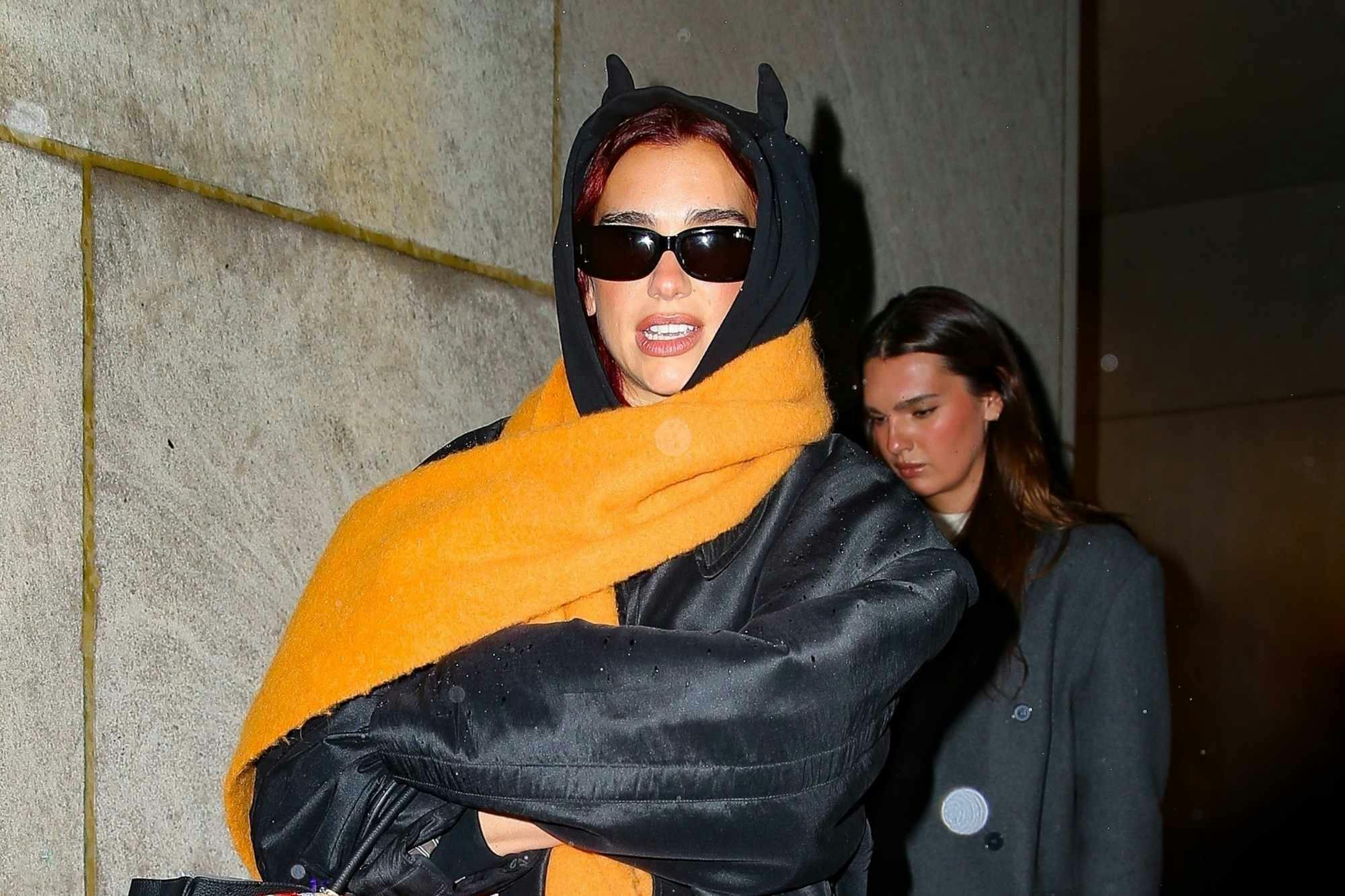 Dua Lipa's Hermès Bag Works Overtime