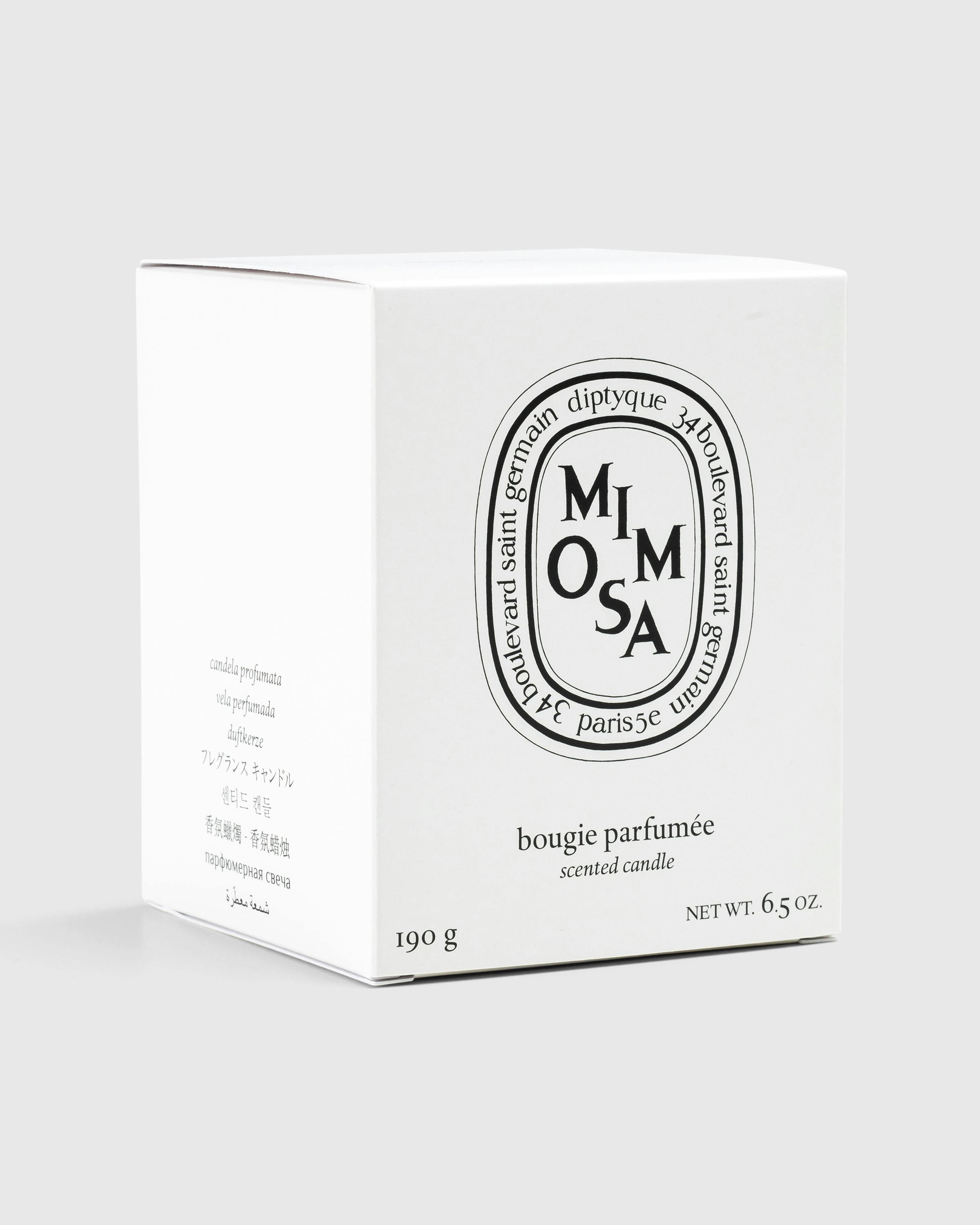 Diptyque – Standard Candle Mimosa 190g | Highsnobiety Shop
