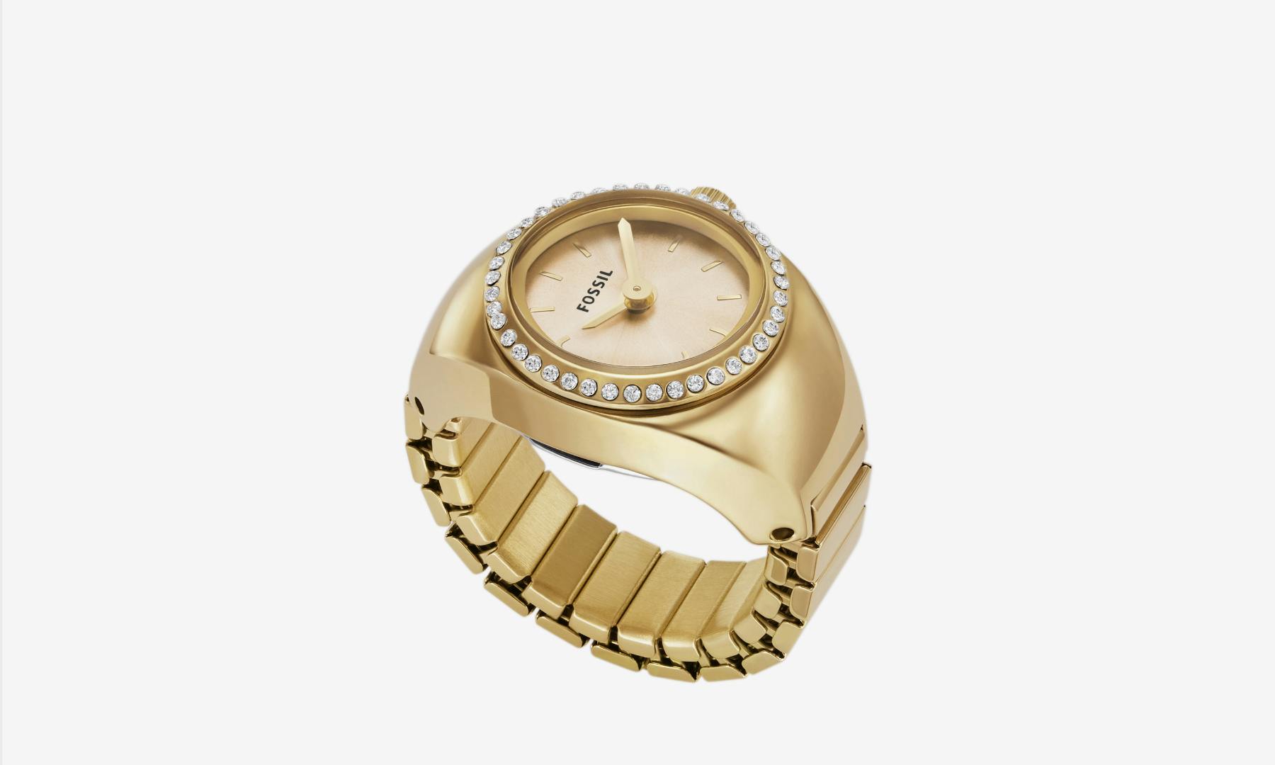 The Gift of Fossil: Editor's Picks
