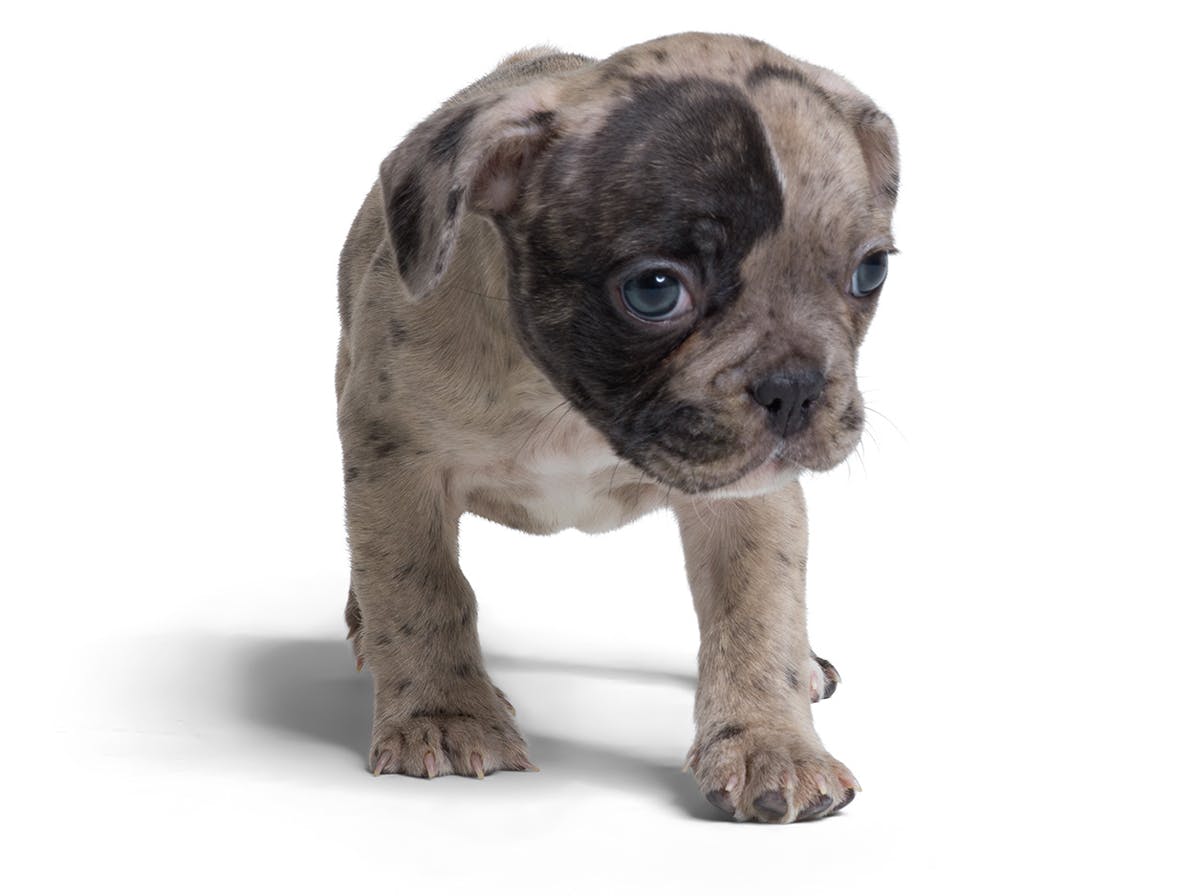 Migos Talk Culture III, Cardi B, and Collabs