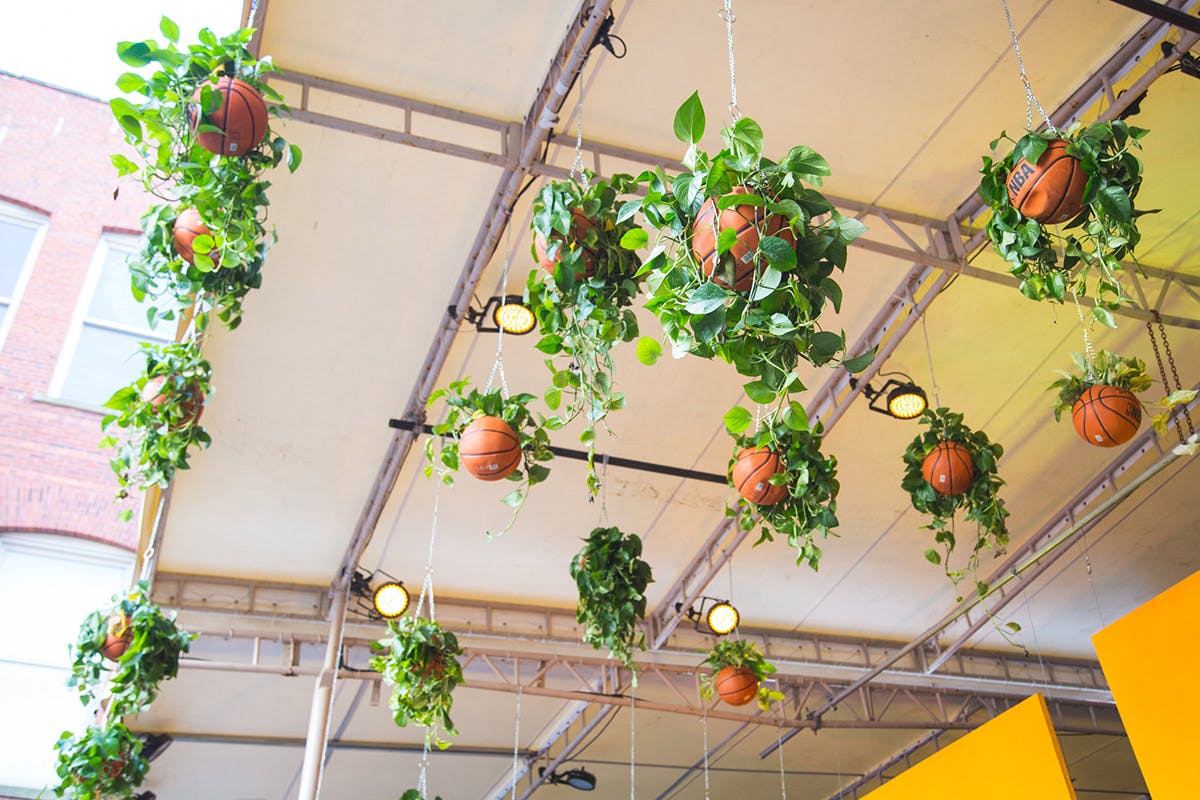 Bodega Rose is the Artist Merging Planters and Hype Sneakers