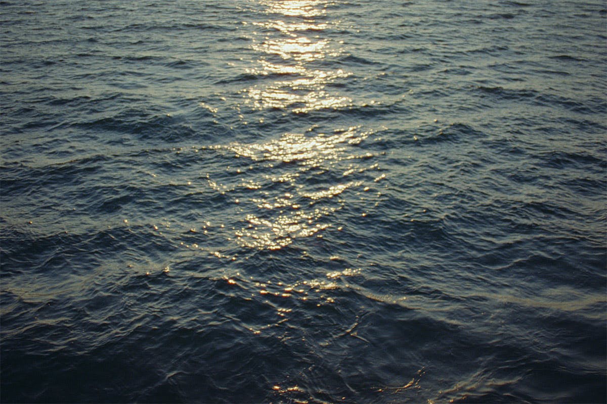 First Look at pgLang's Full Calvin Klein Campaign