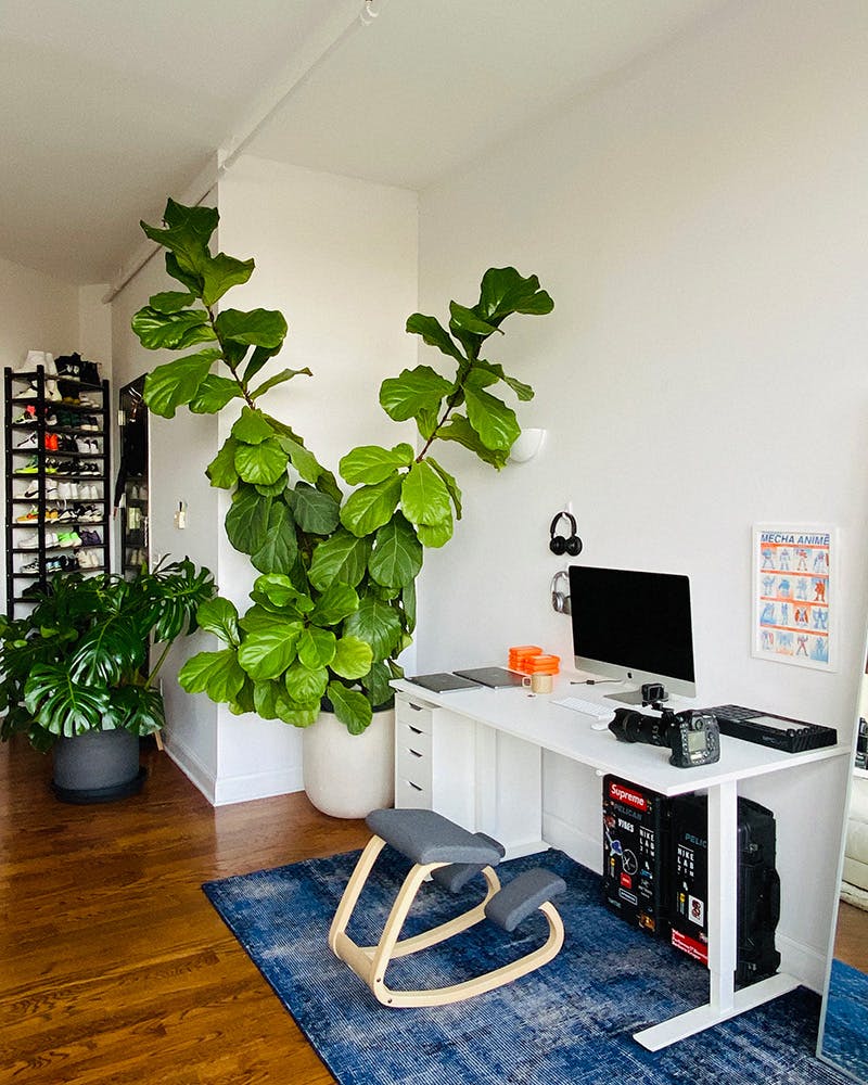 WFH Office Tour: How the Creative Industry Is Working from Home