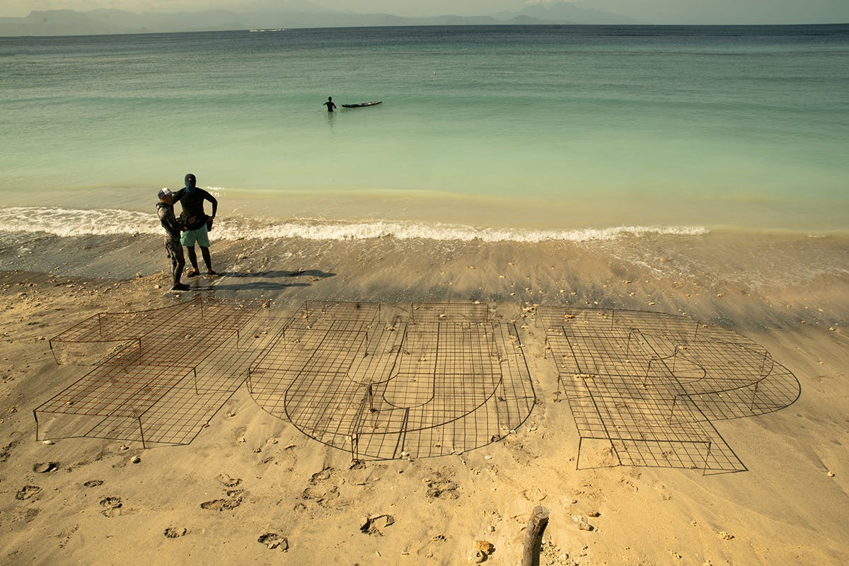 1UP Just Made the World's First Underwater Coral Artwork