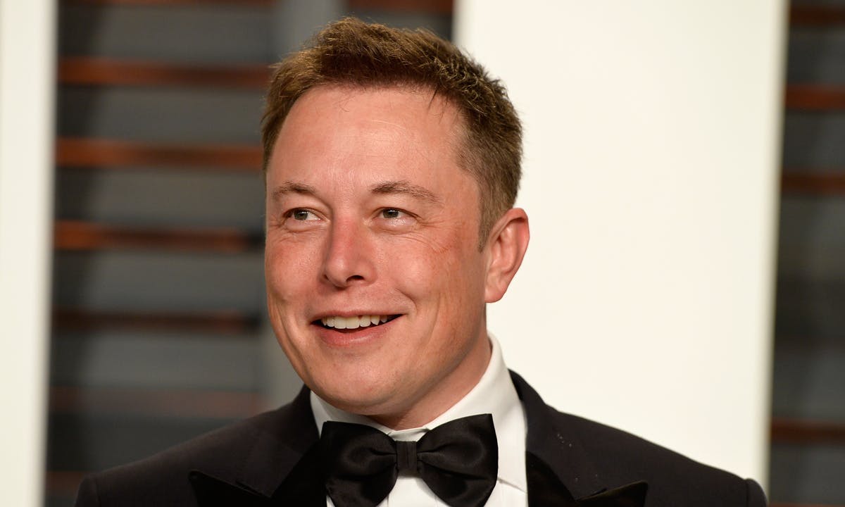 Elon Musk Donates $1 Million to Plant Trees: See Here
