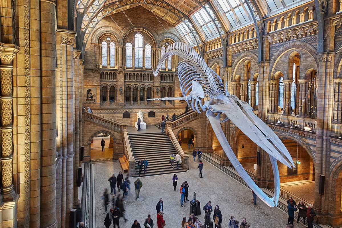 London's Best Museums, As Chosen By Highsnobiety