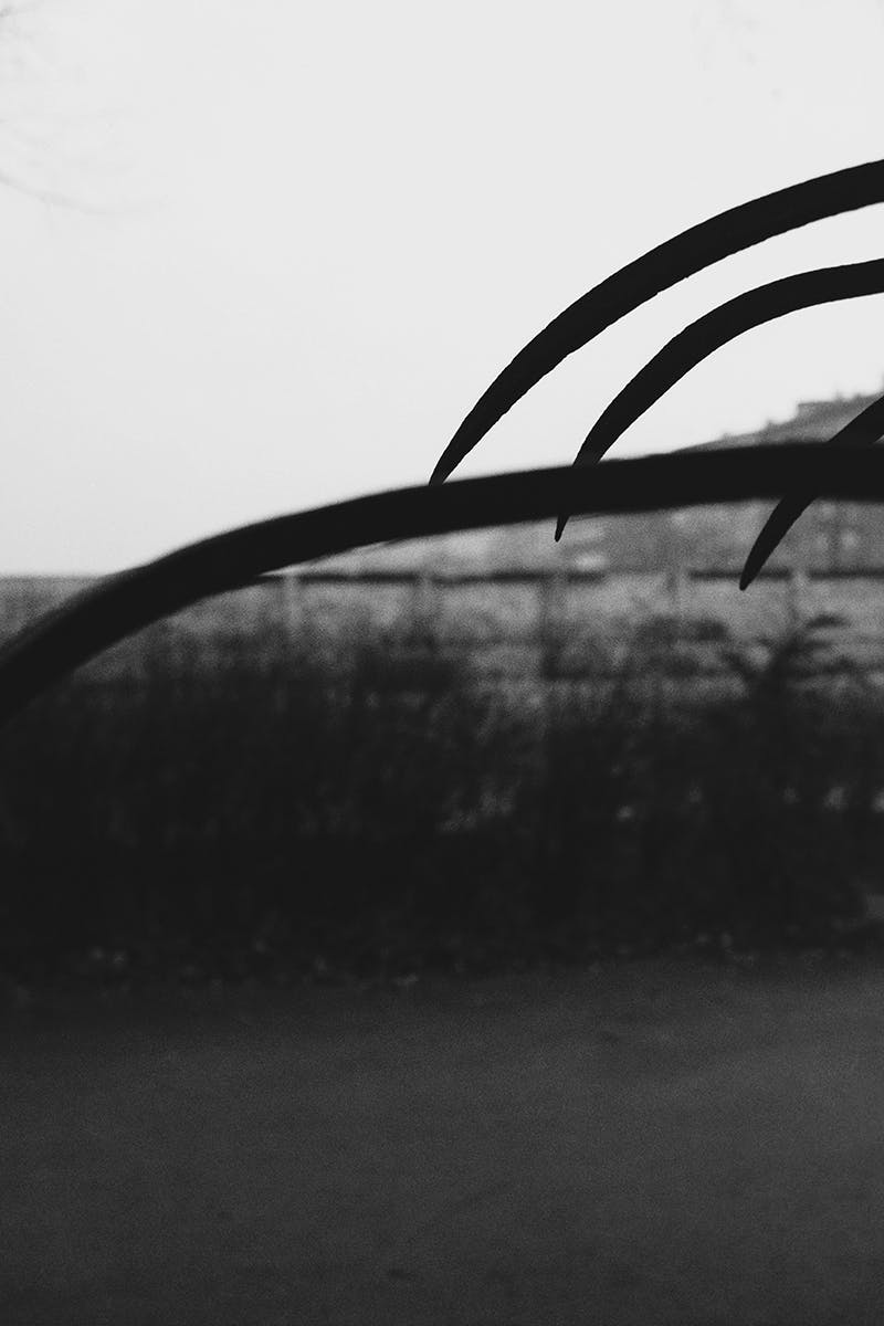 Why Michael Schmidt Is the Perfect Photographer for Our Dystopia