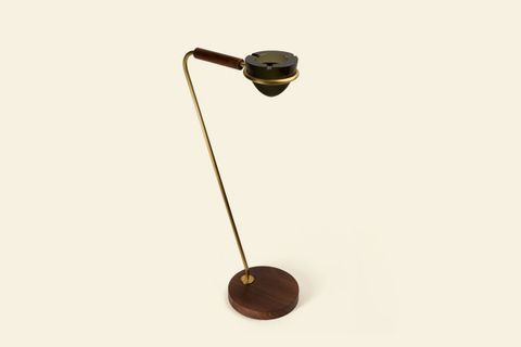 Shop the Best Seth Rogen Houseplant Items Here