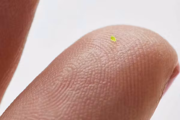 MSCHF's Microscopic Handbag Sold For $65k USD