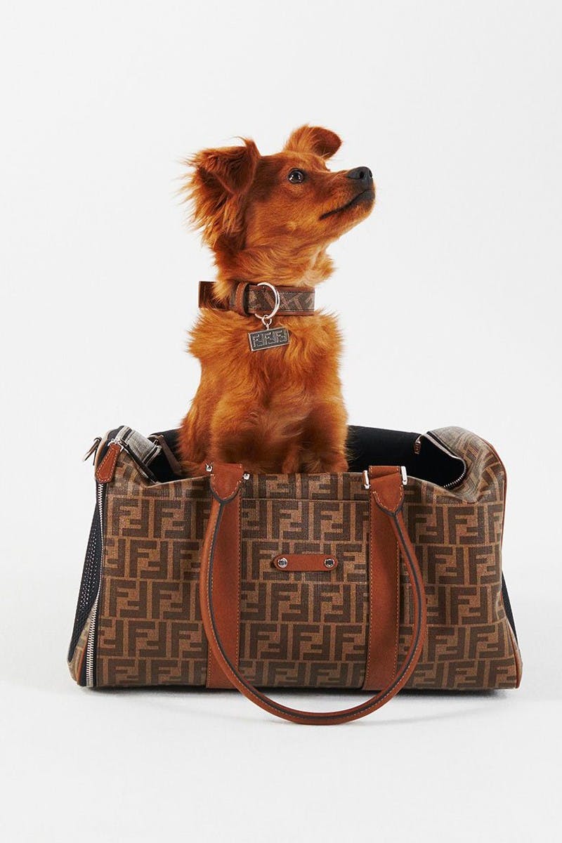 Fendi Unveils Luxury Pet Travel Collection