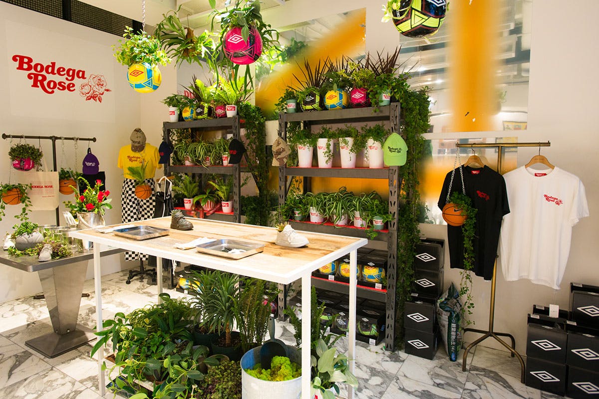 Bodega Rose is the Artist Merging Planters and Hype Sneakers