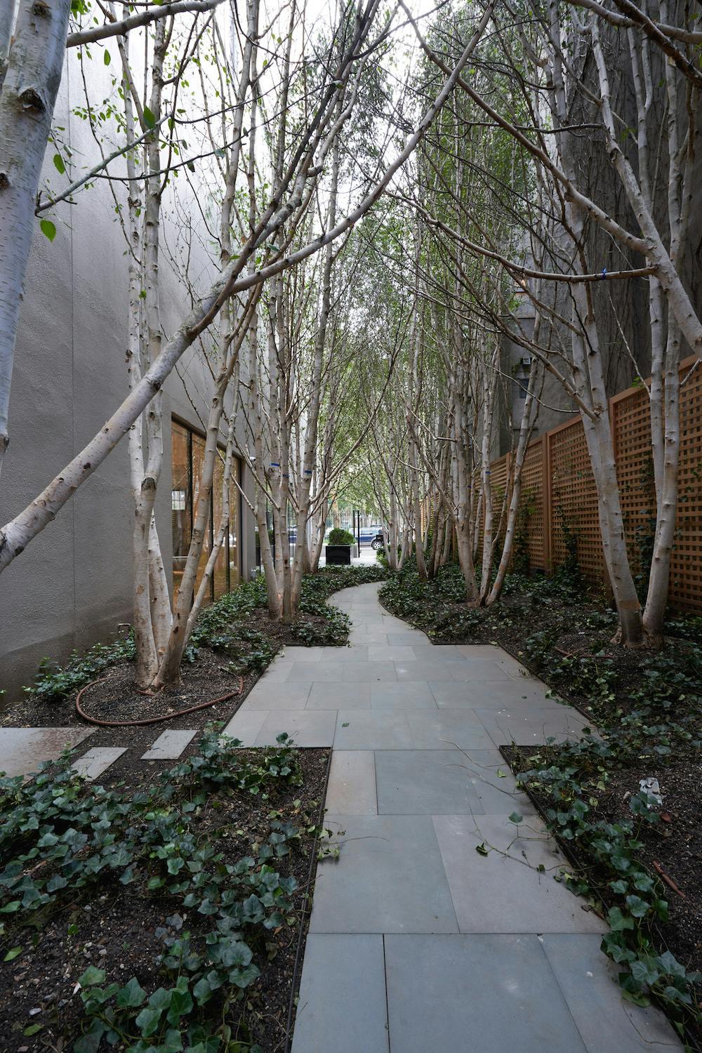 Jean-Michel Basquiat Exhibition by The Brant Foundation in NYC