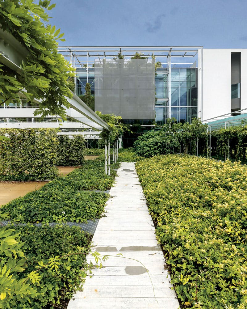 Step Inside Prada's Garden Factory of Valvigna