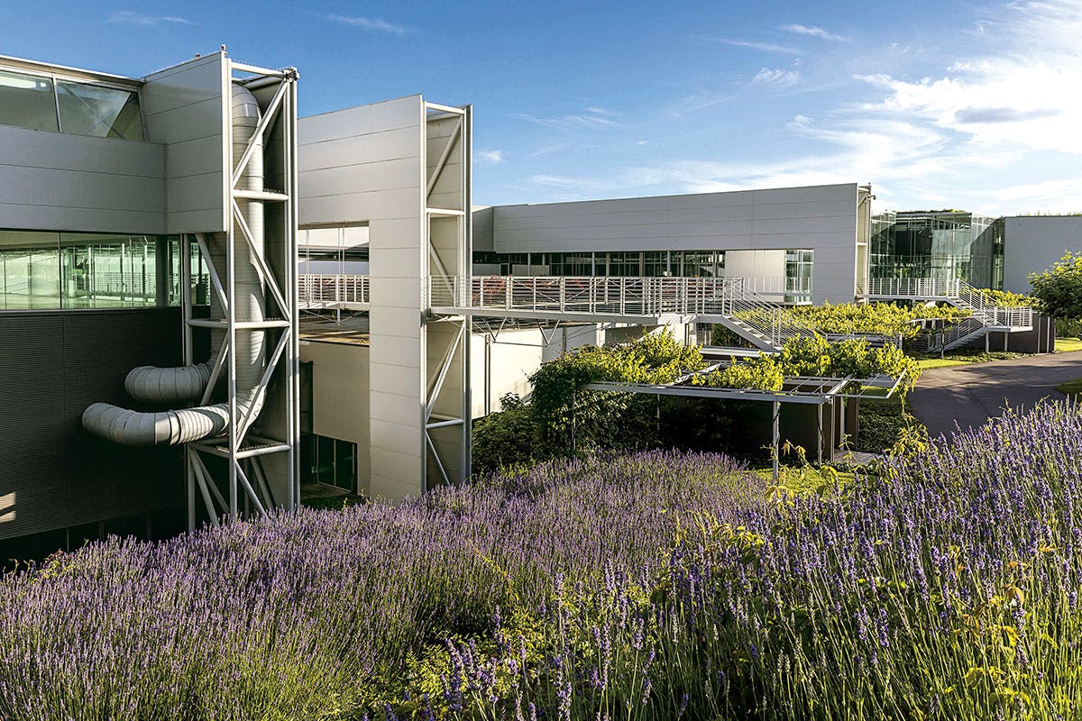 Step Inside Prada's Garden Factory of Valvigna