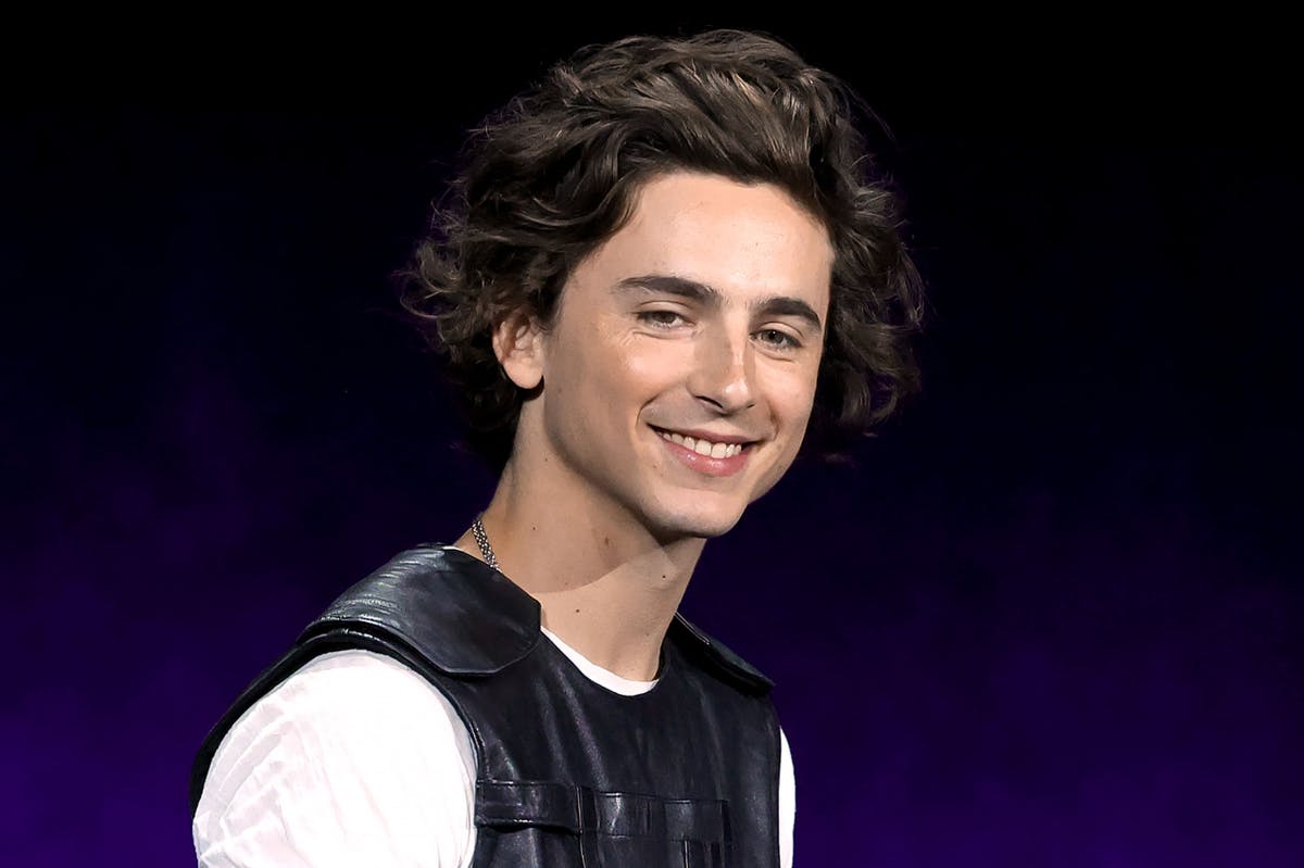 Timothée Chalamet & Zendaya Were Moods at Her Assistant's Party